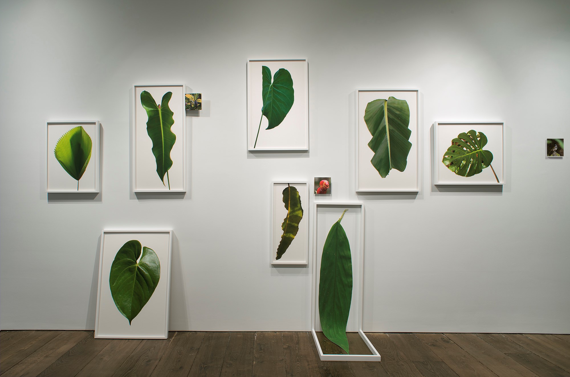Fellows Friday: Q&A with Visual Artist Eileen Neff | The Pew Center for ...